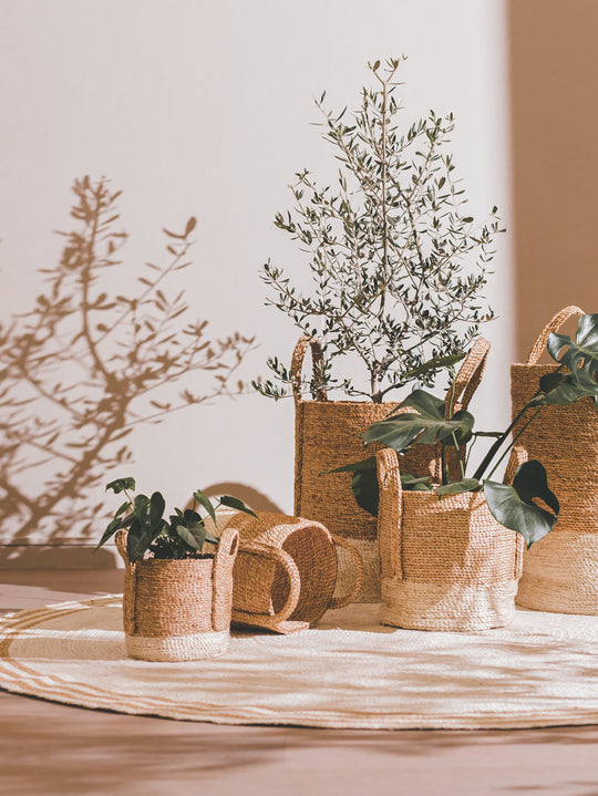 Round Rugs - Shop & Buy Online & In-Store - Hertex Haus